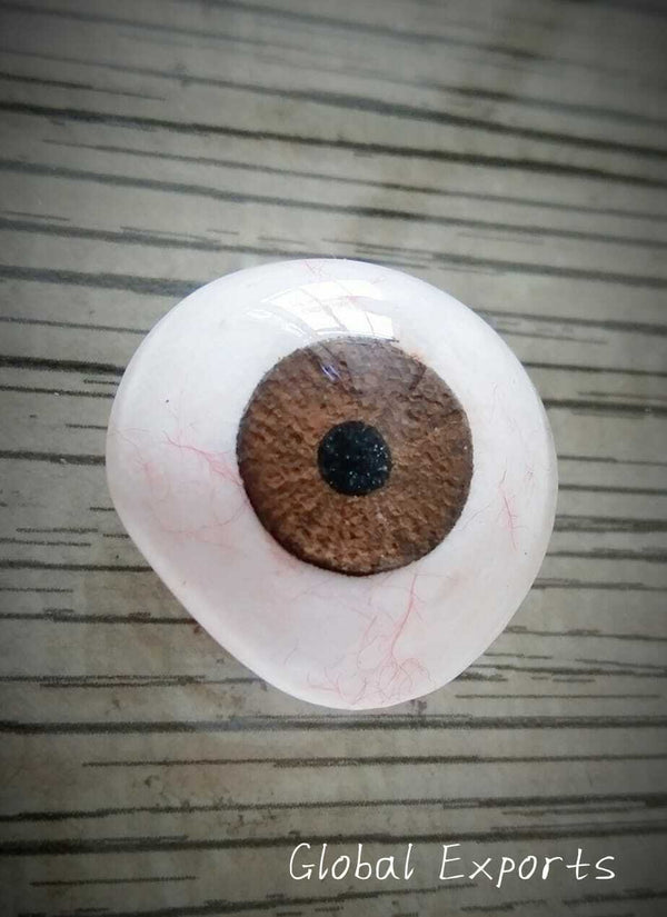 Ocular Prostheses Artificial Prosthetic Eye With Sterilized Case ...