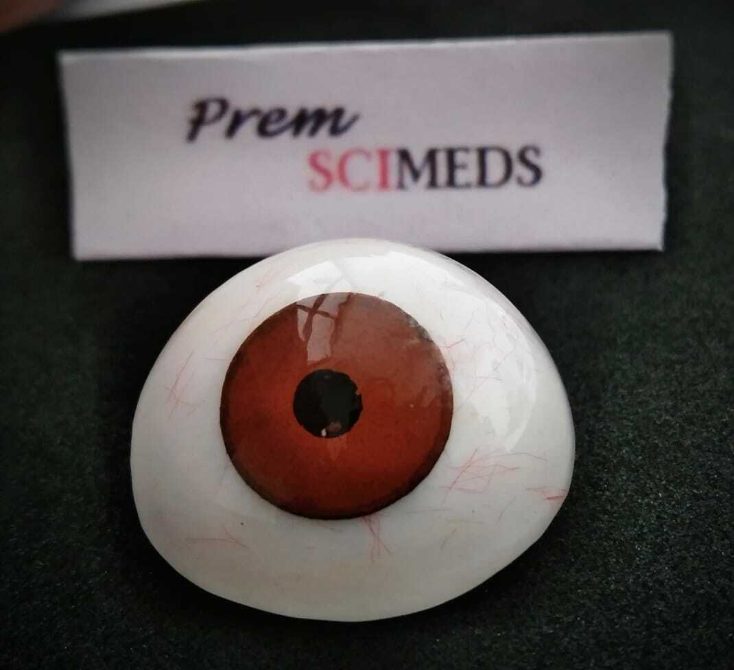 Ocular Prostheses Artificial Prosthetic Eye With Sterilized Case ...